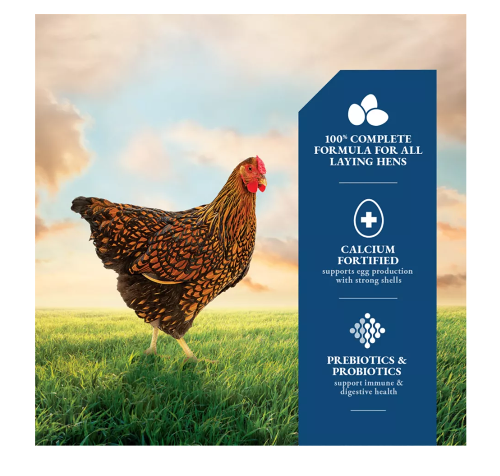 DuMOR 3006319-206 16% Layer Pelleted Chicken Feed, Calcium Fortified ...