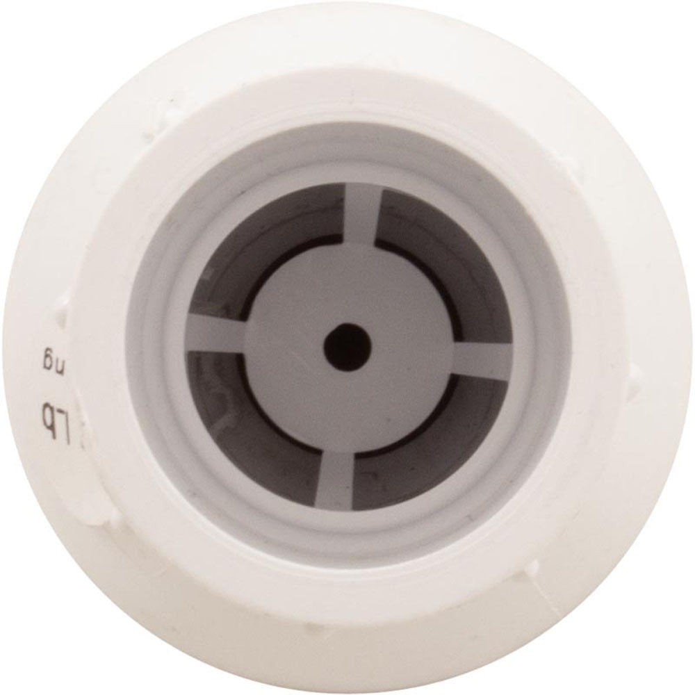 Flo Control 1011-10 1"s 1/2lb Spring Water Check Valve – BelowCost Products